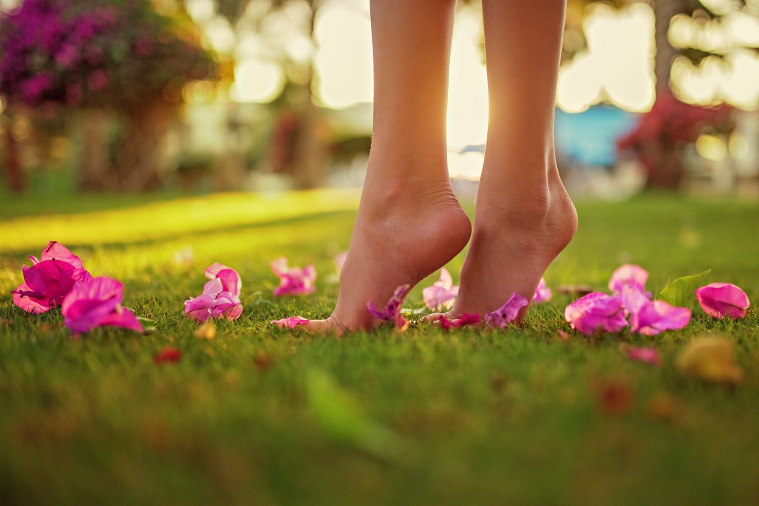 Treat Your Feet – Cherry Blossom